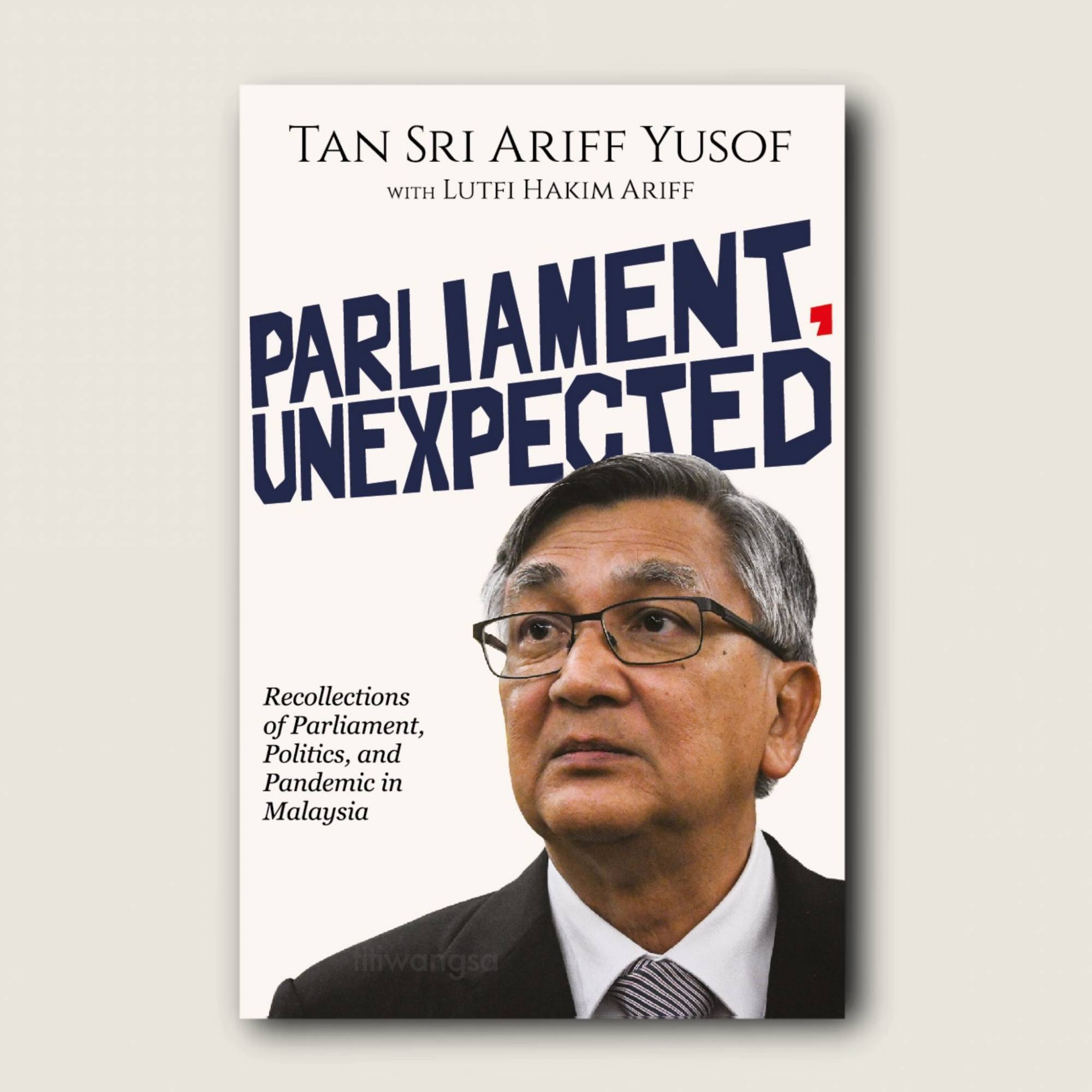 Parliament Unexpected: Recollections of Parliament, Politics and ...