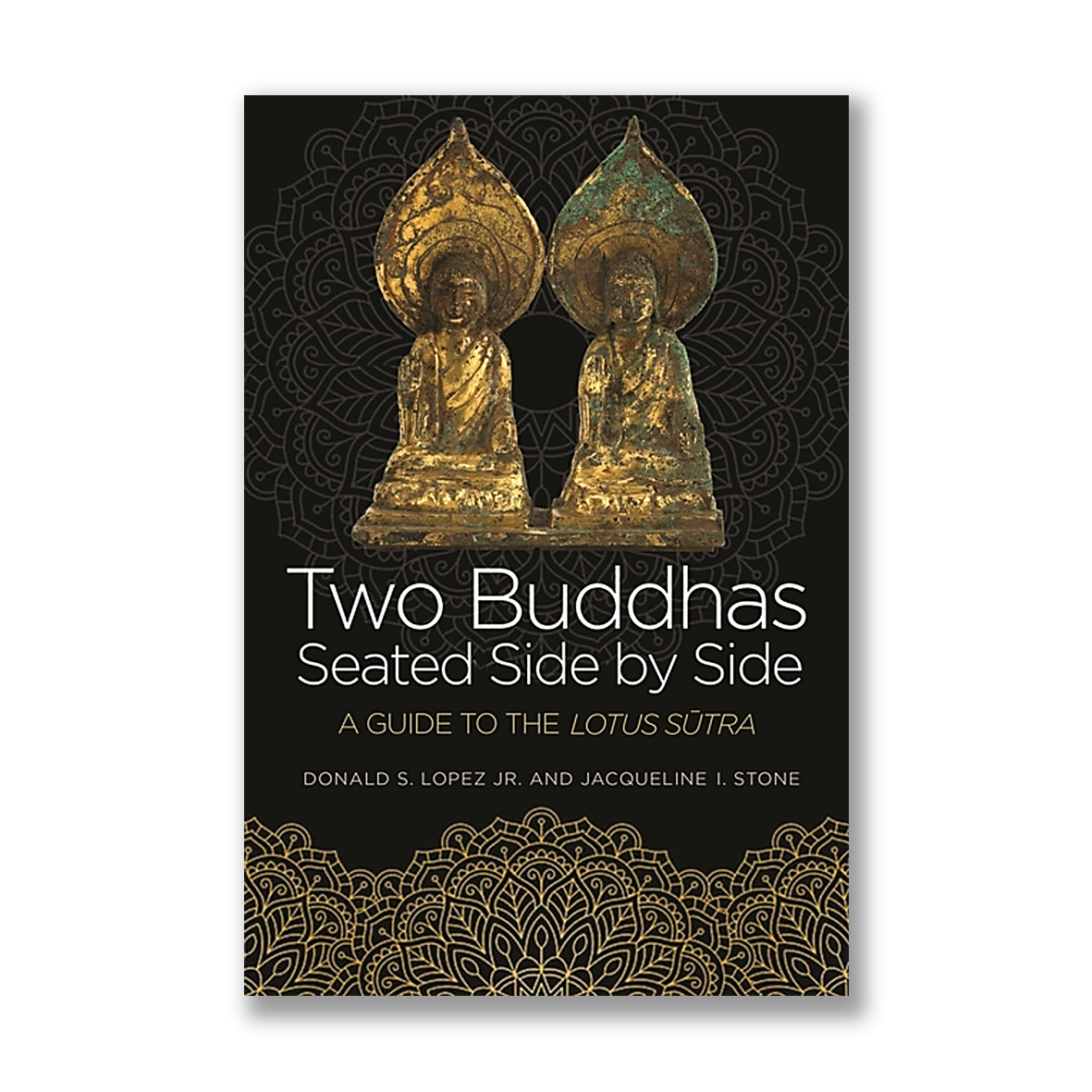 DONALD S. LOPEZ JR. & JACQUELINE I. STONE, Two Buddhas Seated Side by Side