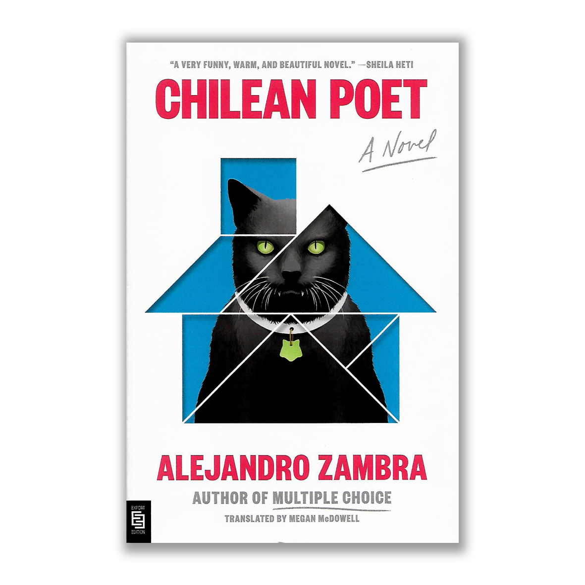 Chilean Poet by ALEJANDRO ZAMBRA - Riwayat