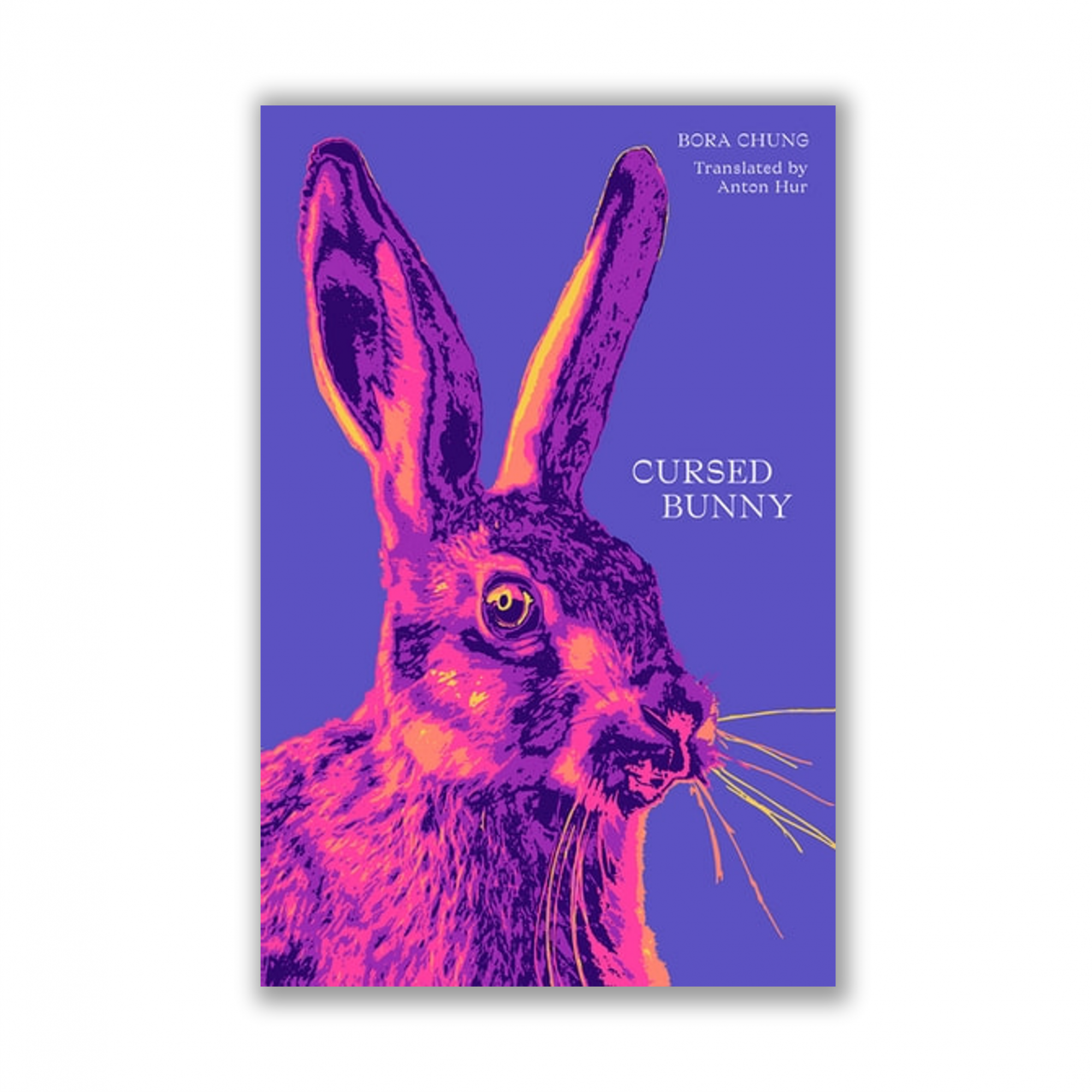 Cursed Bunny by Bora Chung - Riwayat