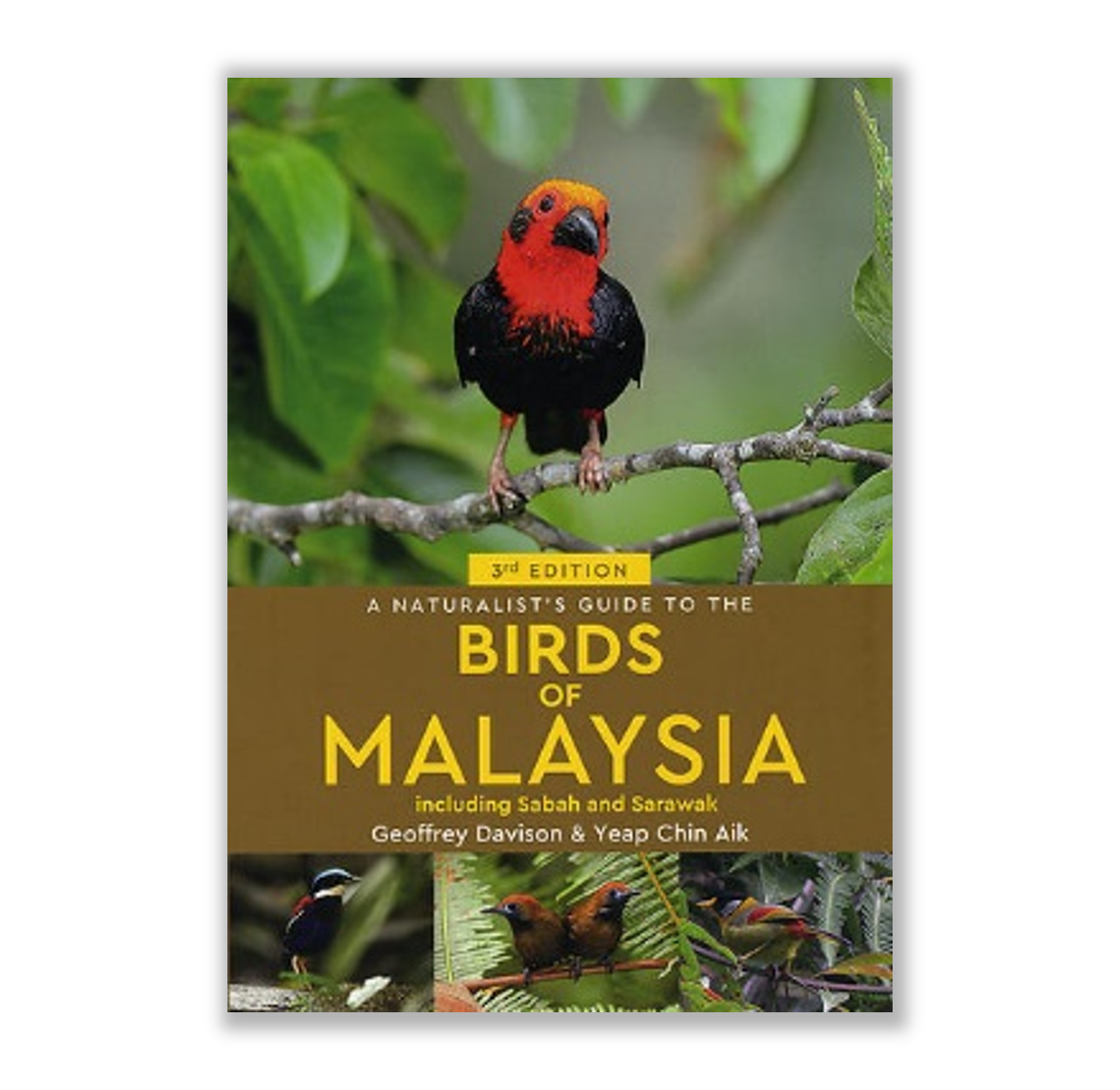 A Naturalist's Guide to the Birds of Malaysia including Sabah and ...