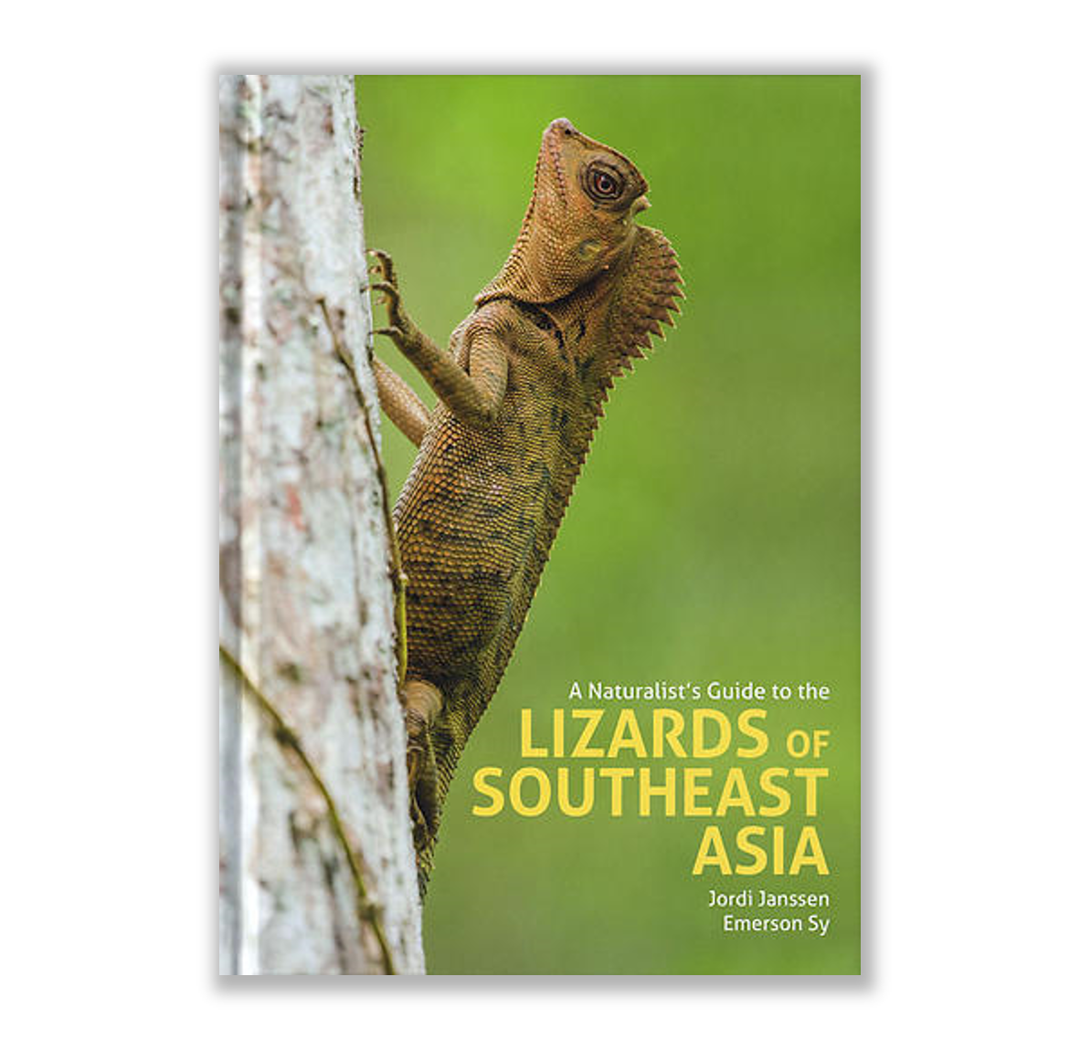 A Naturalist's Guide to the Lizards of Southeast Asia by Jordi Janssen ...