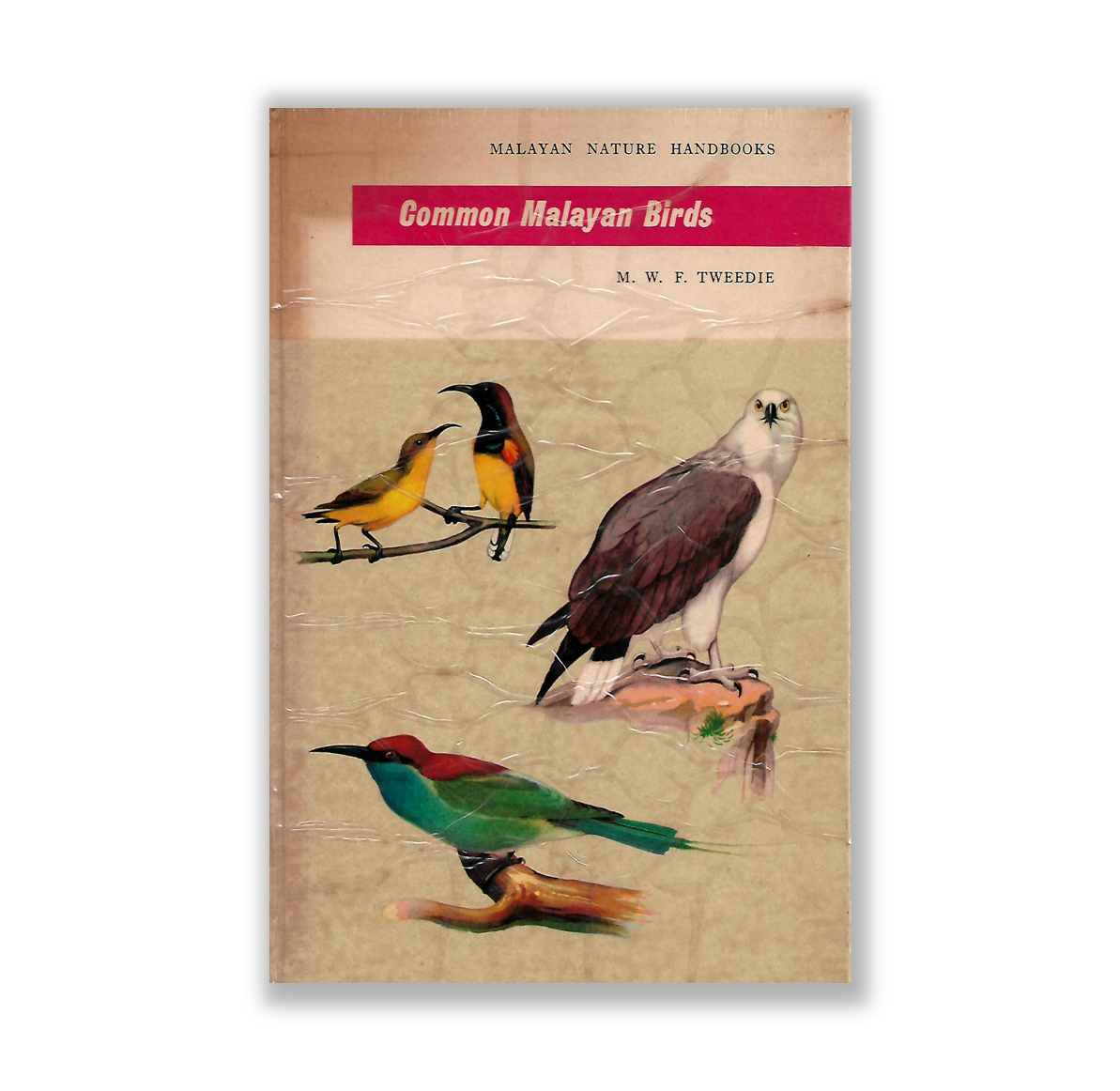 Common Malayan Birds -Riwayat