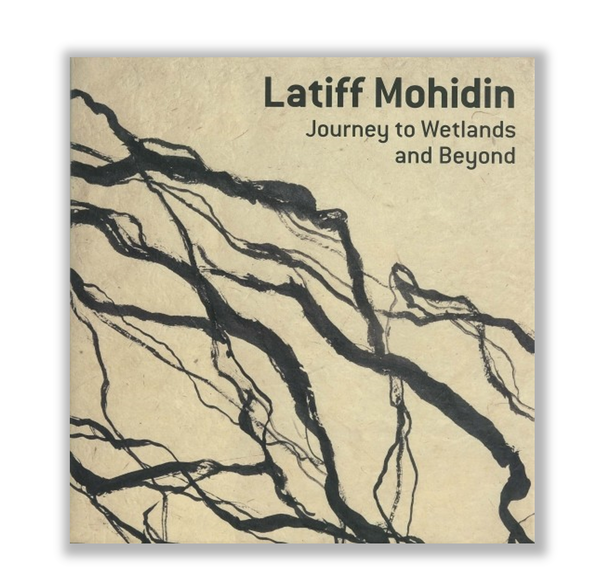 Latiff Mohidin: Journey to Wetland and Beyond by T.K.Sabapathy - Riwayat