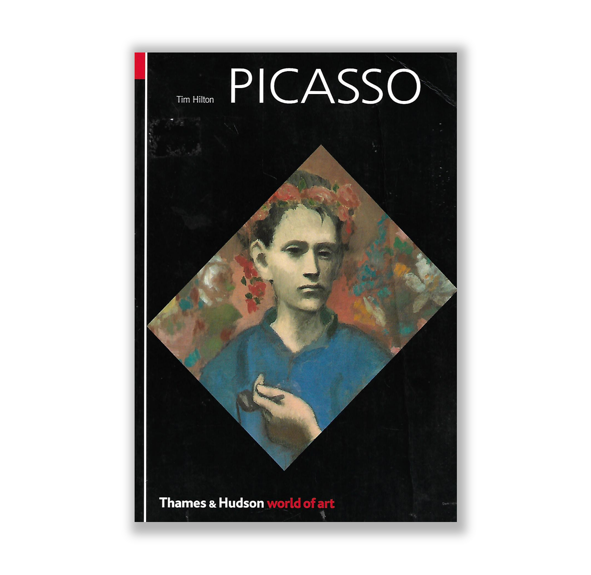 Picasso, Tim Hilton - Riwayat
