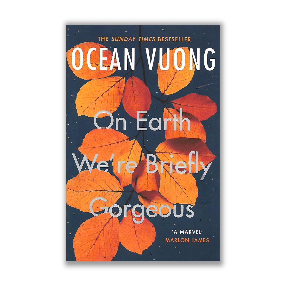 On Earth We're Briefly Gorgeous by Ocean Vuong - Riwayat