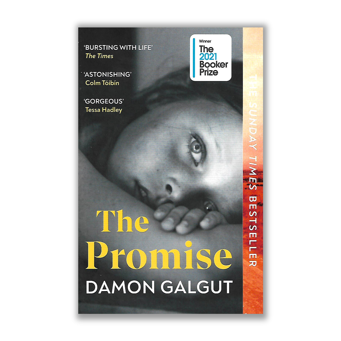 The Promise by DAMON GALGUT - Riwayat