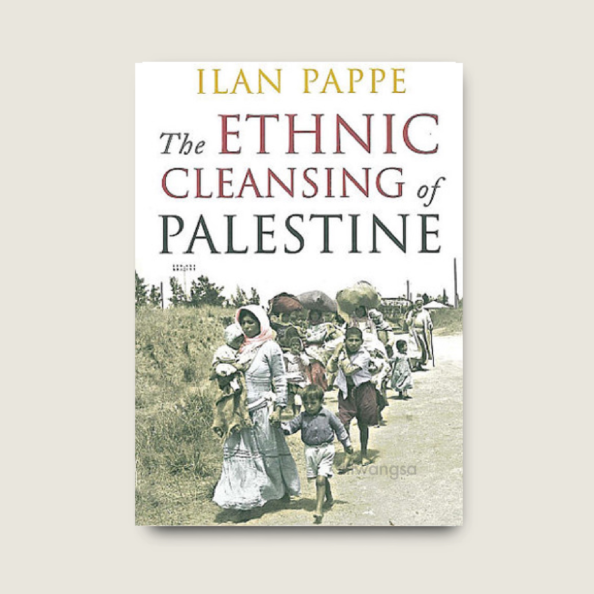 ILAN PAPPE The Etnic Cleansing of Palestine | Geo Politics (Oneworld)